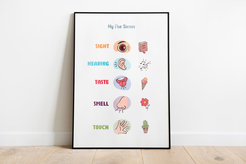 Five Senses Poster Educational Posters Preschool Posters Etsy