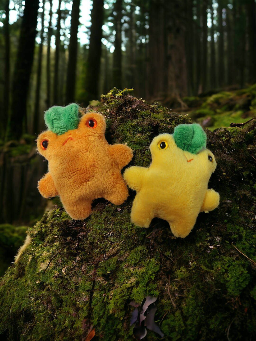 Mini Pocket Frogs - Etsy