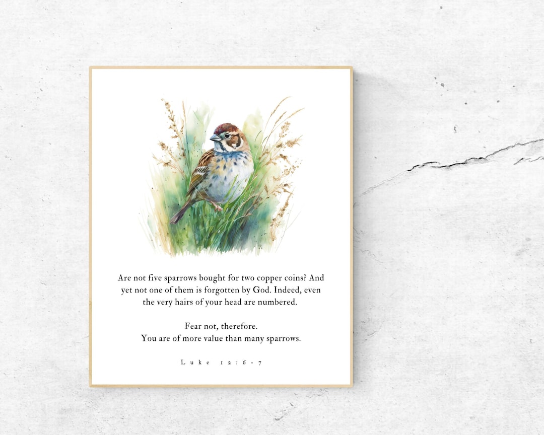 Luke 12:6-7 - Are Not Five Sparrows Bought for Two Copper Coins ...
