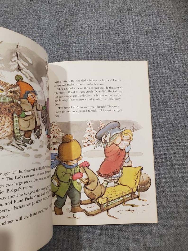 Strawberry Shortcake and the Winter That Would Not End by Alexandra ...