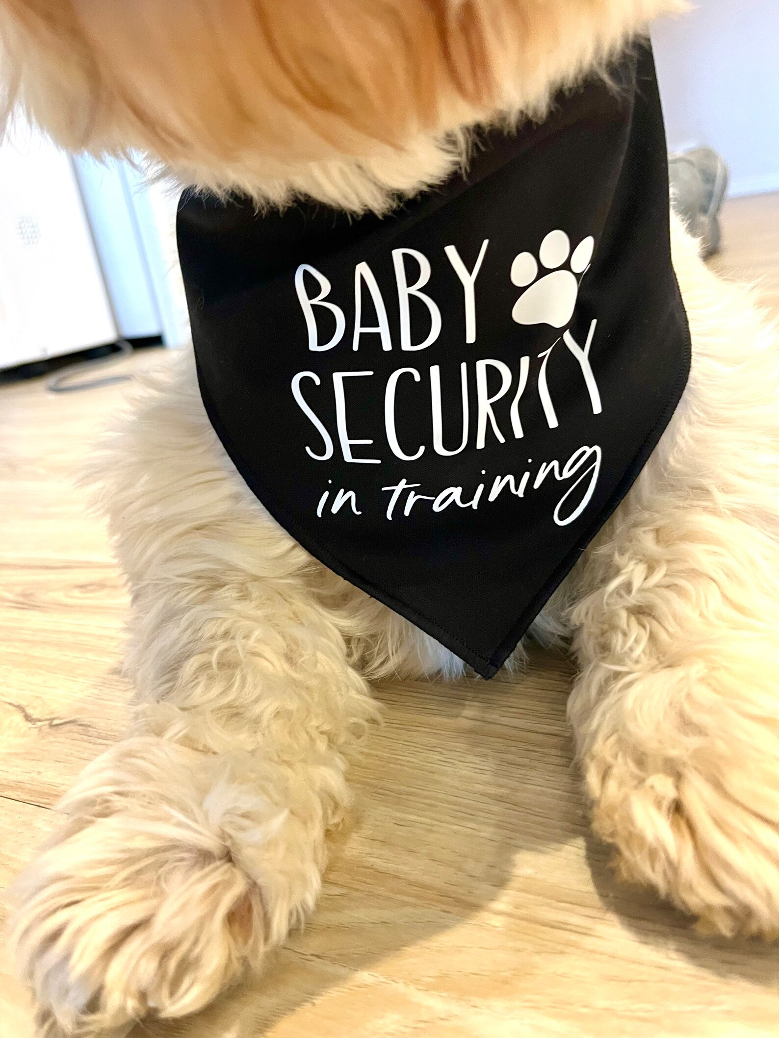 Baby Security in Training Tie-on Dog Bandana | Pregnancy Announcement ...