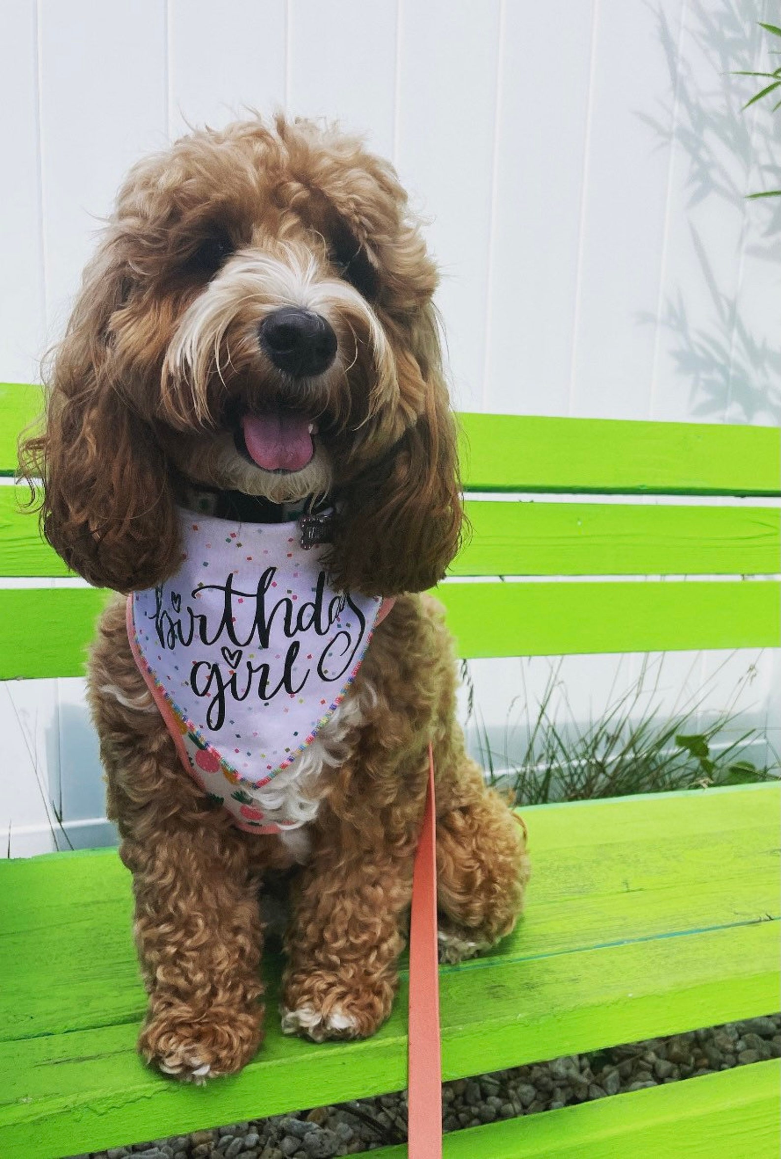 Birthday Girl Rainbow Confetti Squares Tie-on Dog Bandana - Etsy