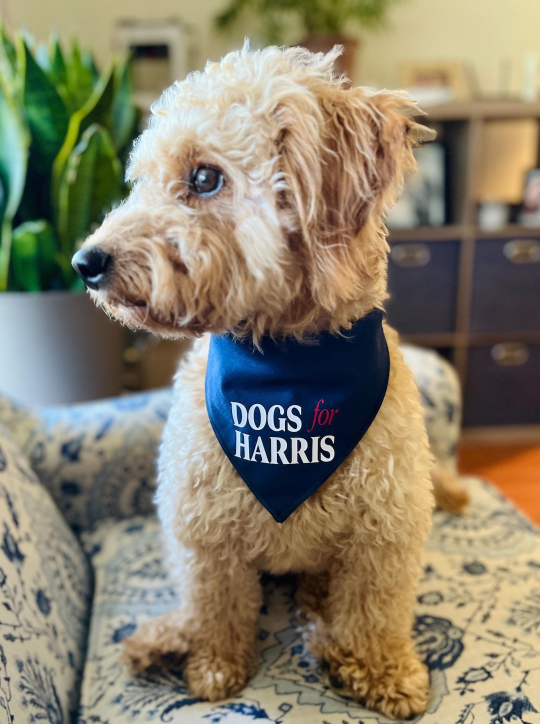 Dogs for Harris Tie-on Dog Bandana Kamala Dog Bandana Dog Mom for ...