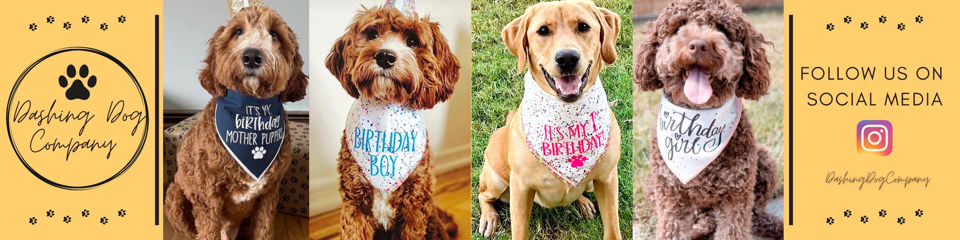 DashingDogCompany - Etsy