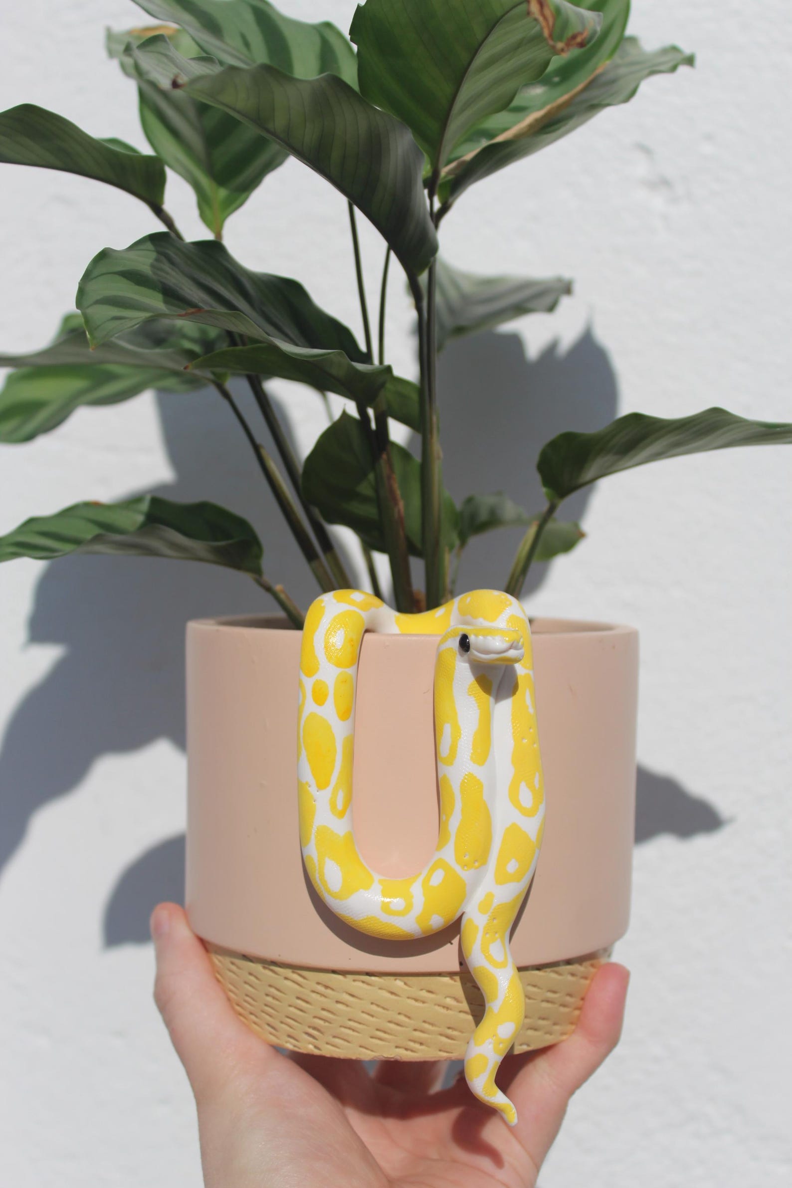 Yellow Morphe Snake Plant Pal Pose 3 - Etsy