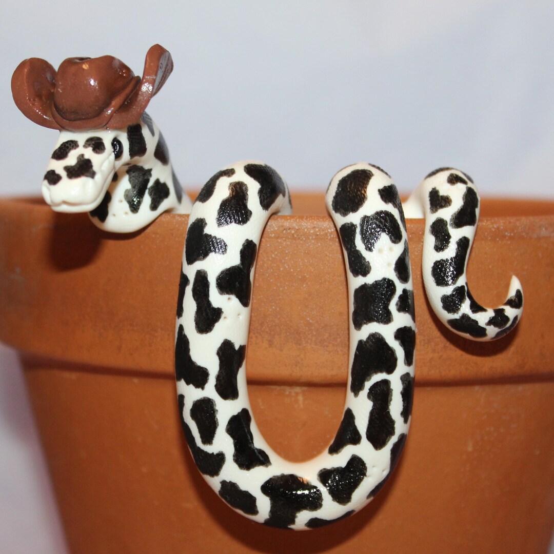 Cowboy Snake Plant Pal - Etsy