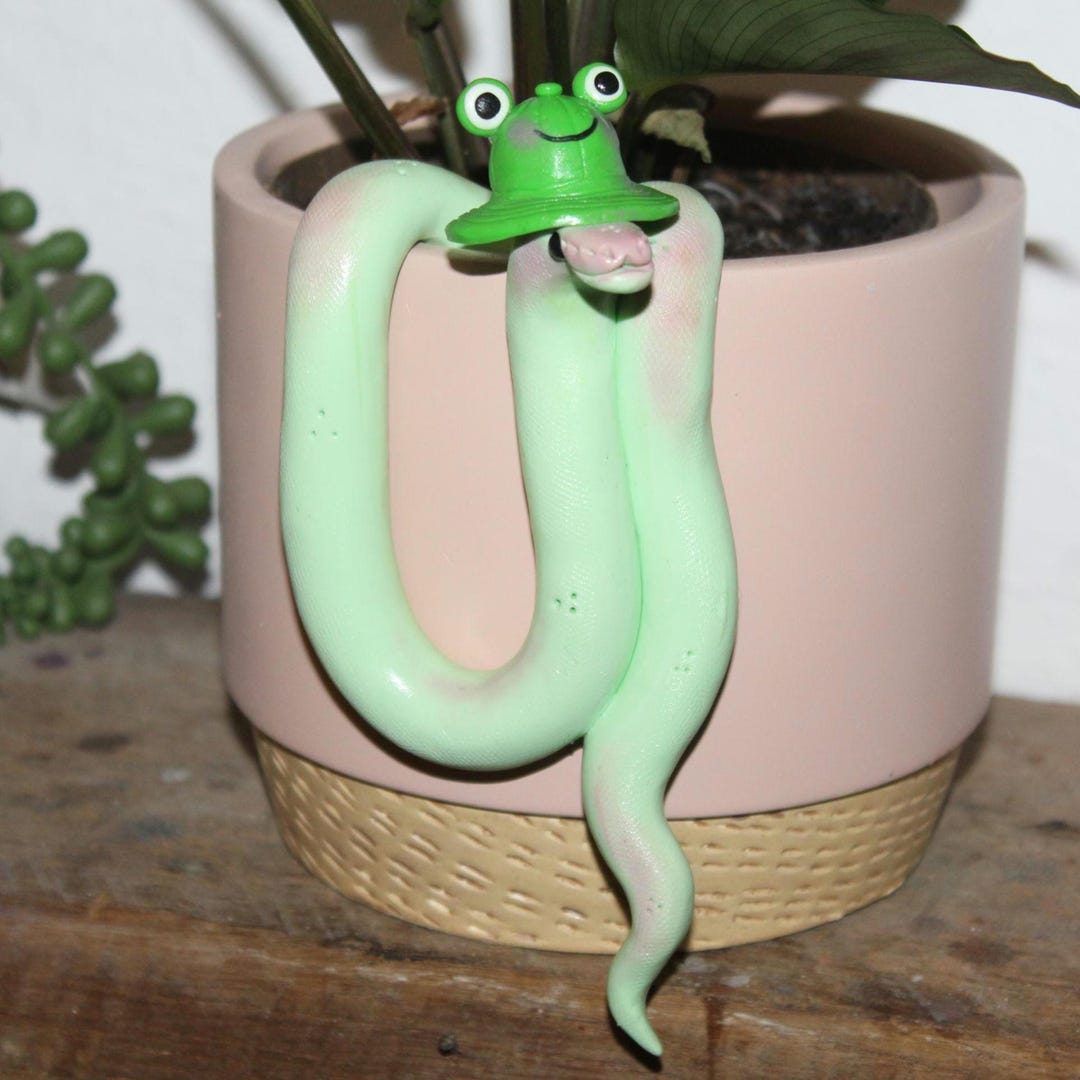 Froggy Bucket Hat Pastel Green Snake Plant Pal - Etsy