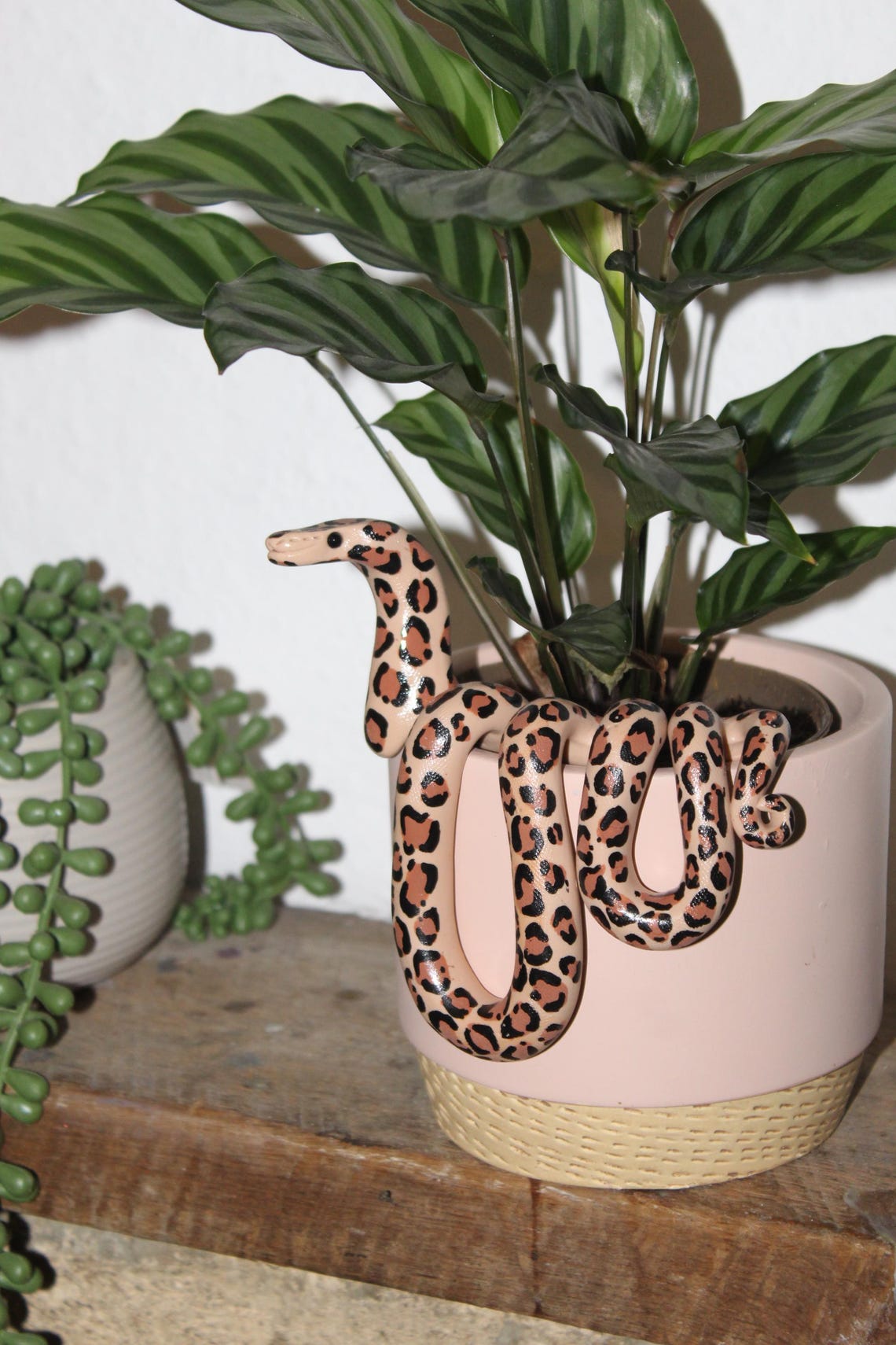 Brown Leopard Print Snake Plant Pal - Etsy