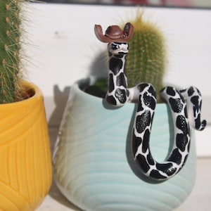 XS Miniature Cowboy Snake Plant Pal - Etsy