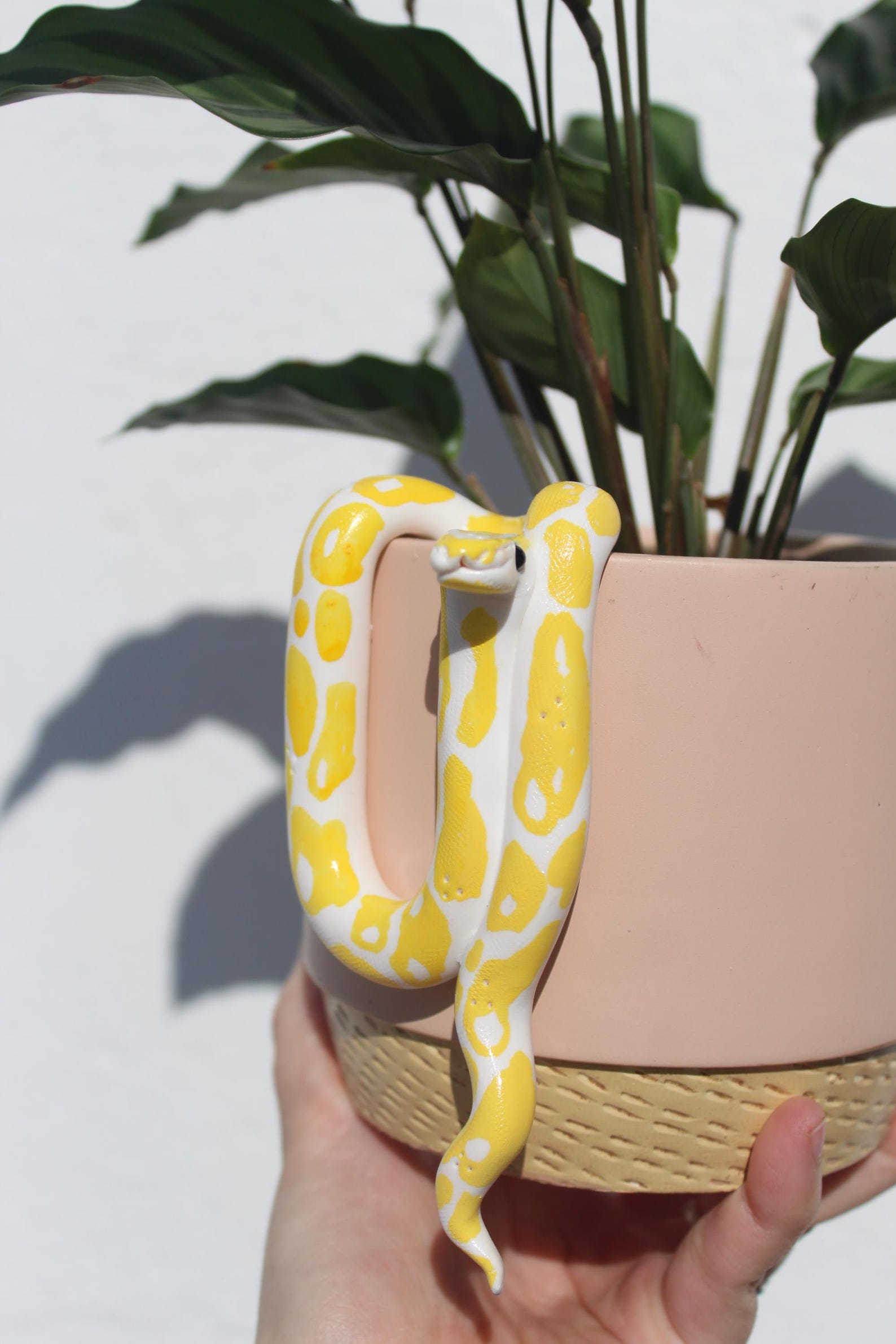 Yellow Morphe Snake Plant Pal Pose 3 - Etsy