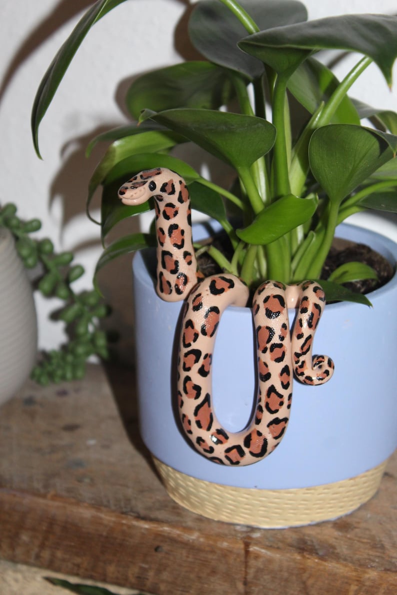 Brown Leopard Print Snake Plant Pal - Etsy
