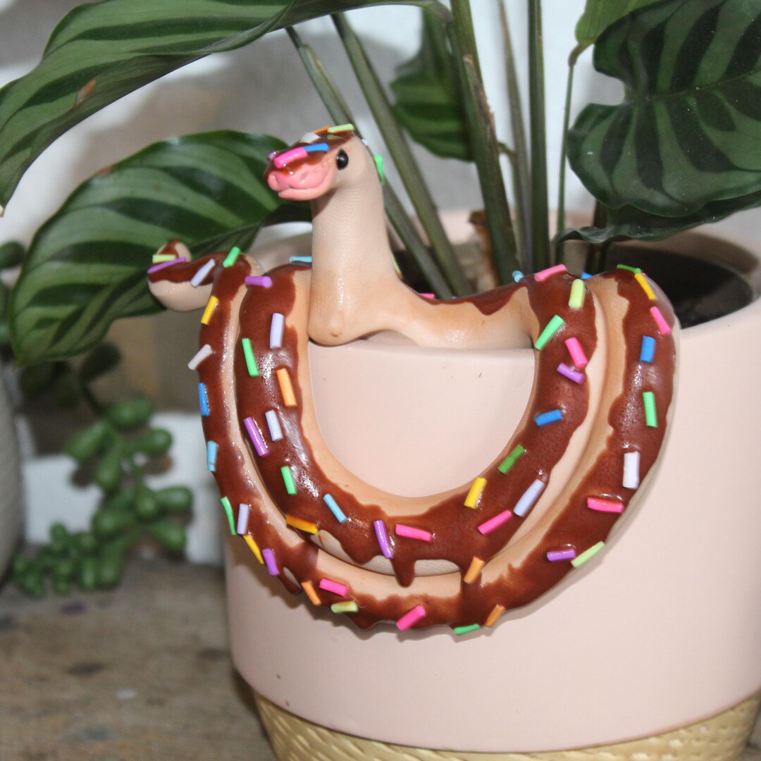 Chocolate Donut Snake Plant Pal - Etsy