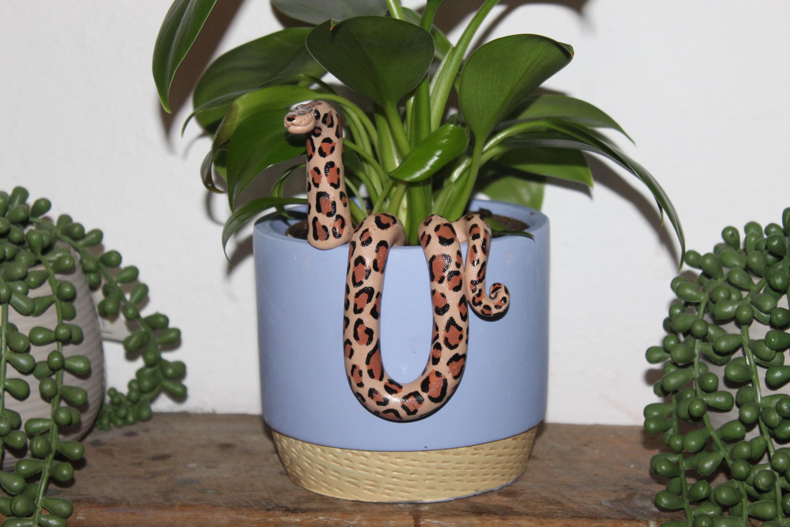 Brown Leopard Print Snake Plant Pal - Etsy