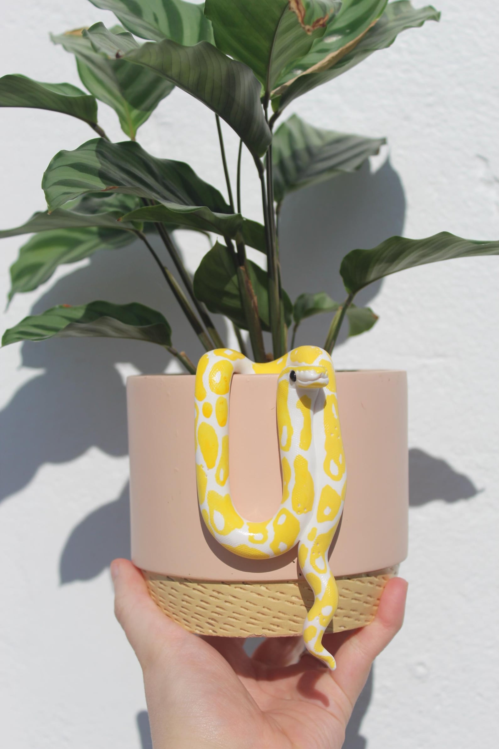 Yellow Morphe Snake Plant Pal Pose 3 - Etsy