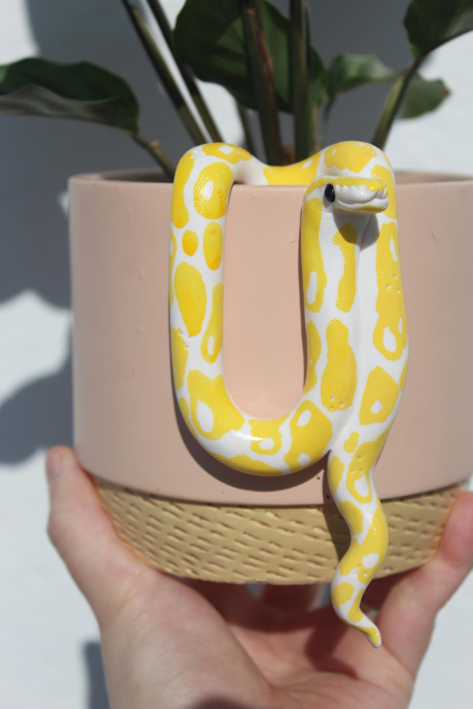 Yellow Morphe Snake Plant Pal Pose 3 - Etsy