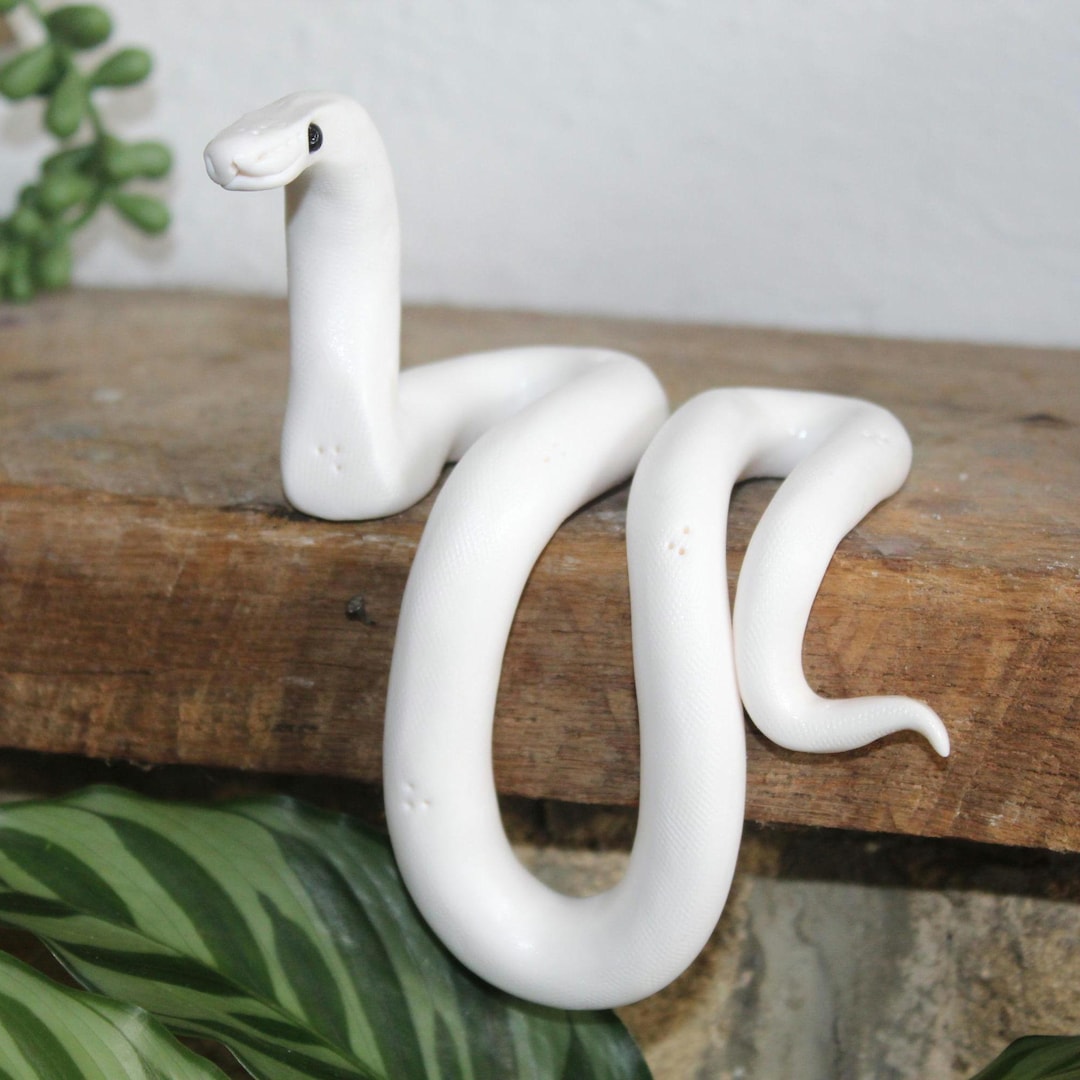 White Snake Shelf Pal - Etsy