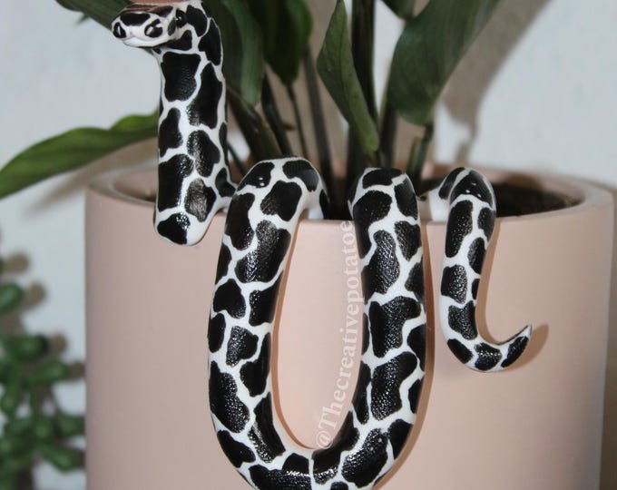 Cowboy Snake Plant Pal - Etsy