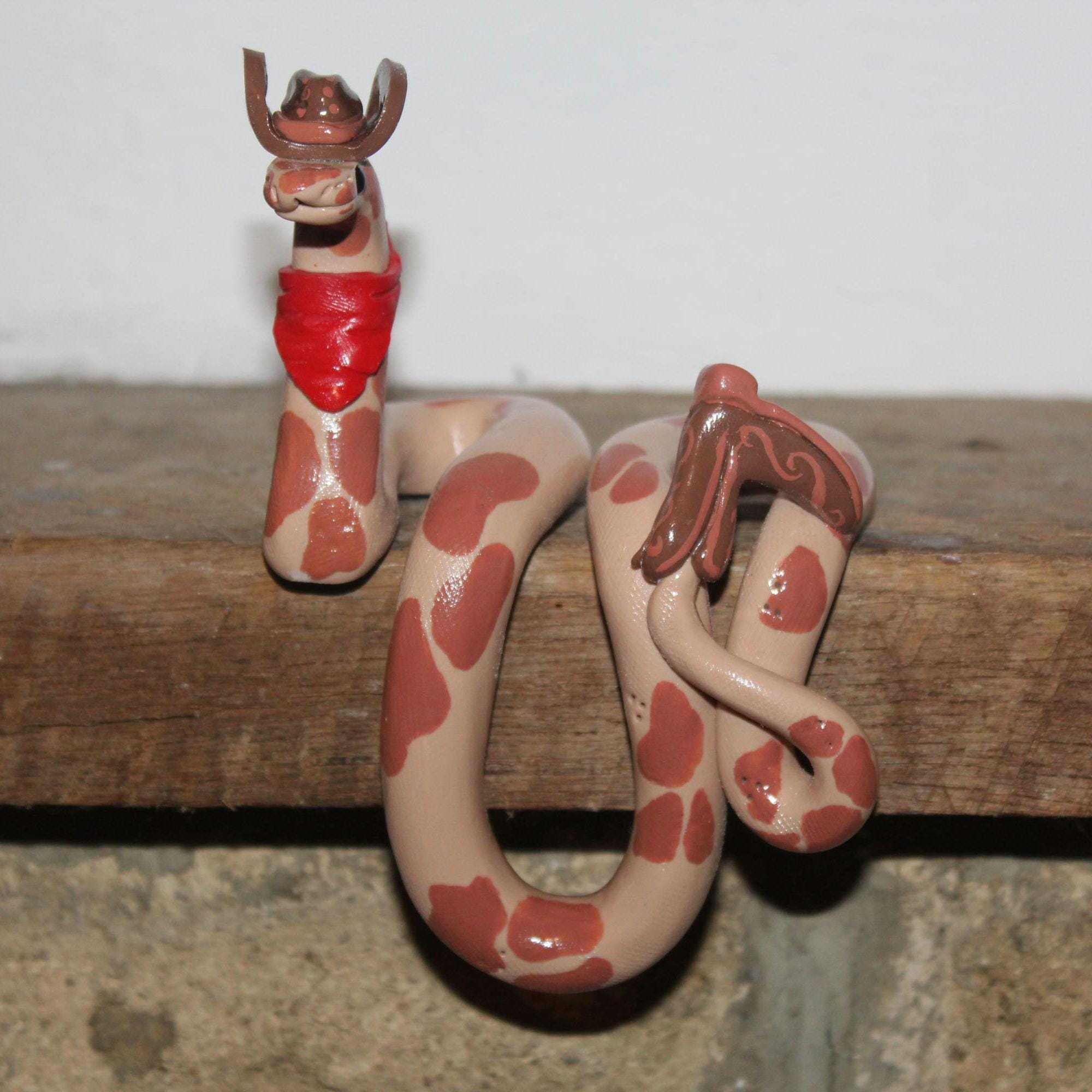 Cowboy Snake in Ma Boot Shelf Pal - Etsy