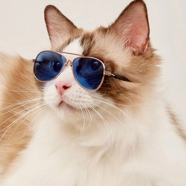 Aviator Cat Hat - Etsy