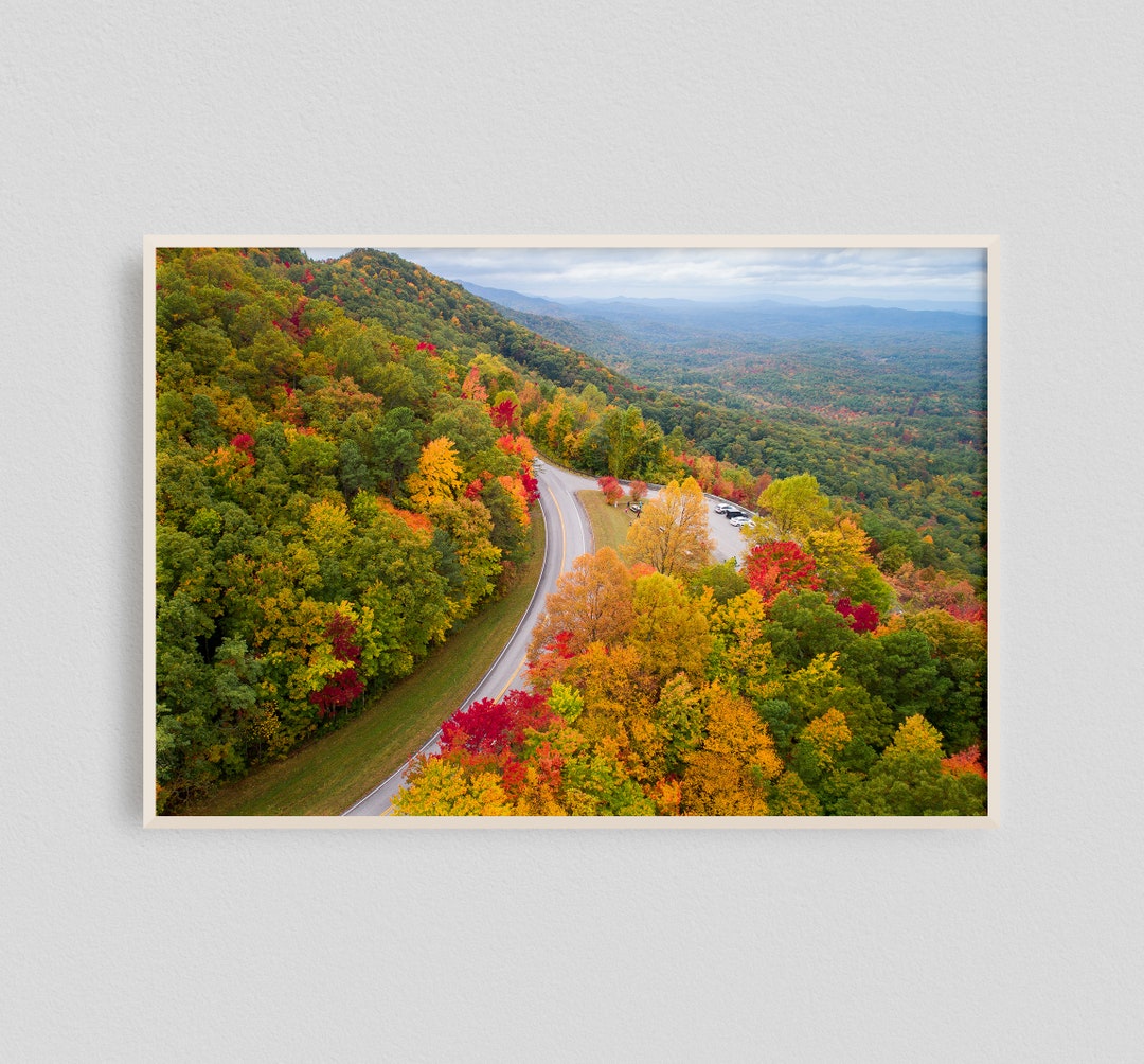 Fall Tree Print, Fall Tree Wall Art, Fall Tree, Fall Road, Fall ...