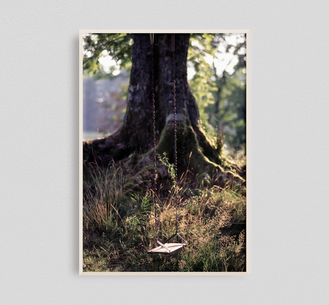 Tree Photography Print, Tree Swing Print, Tree Photo Art, Sunset Tree ...