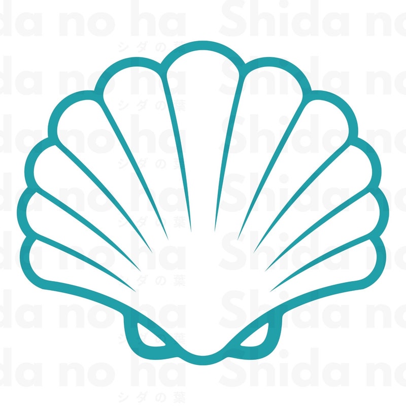 Seashells Svg - Etsy