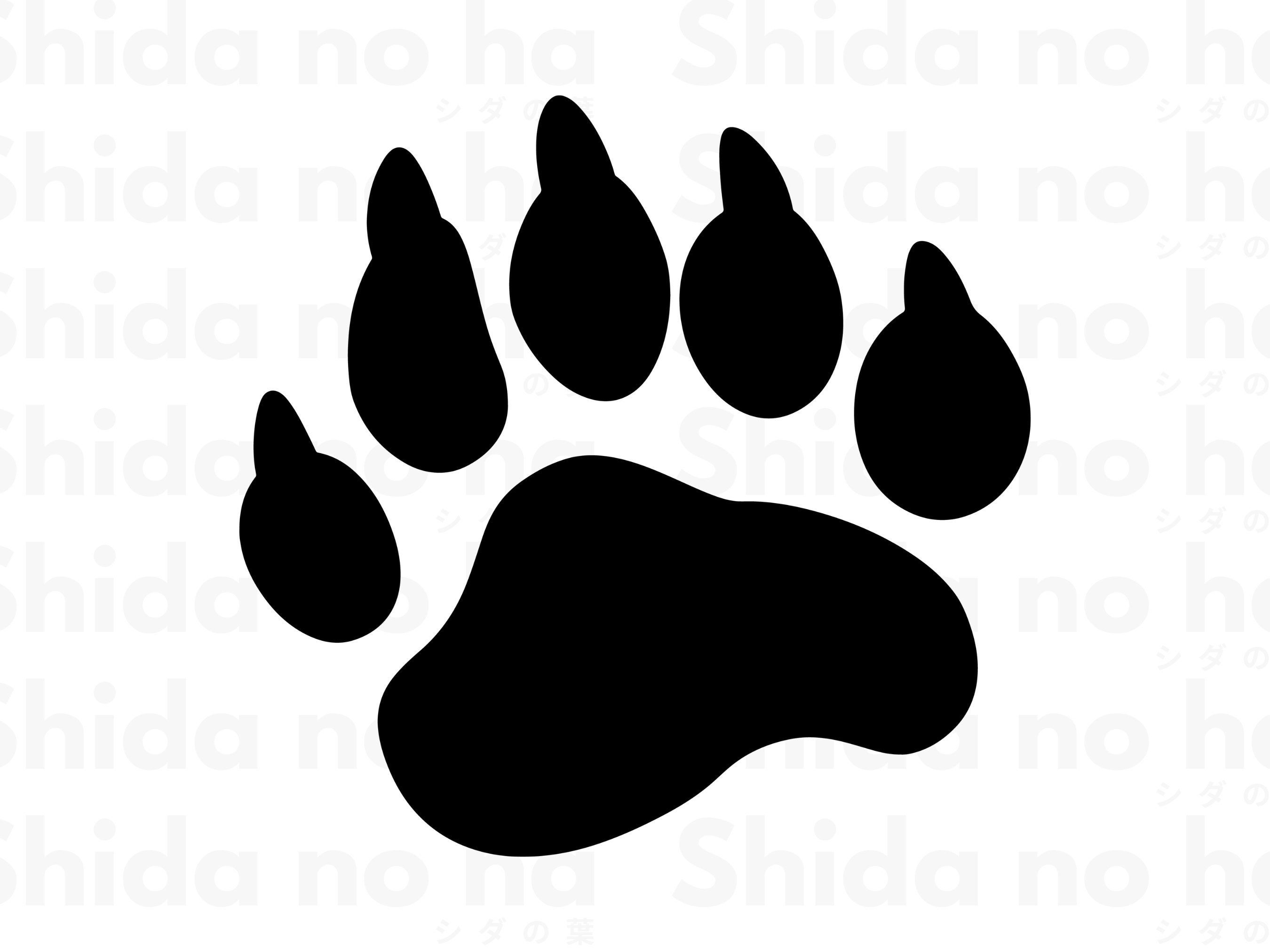 Bear Paw Print SVG School SVG Teacher SVG Digital - Etsy España