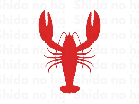 Crawfish SVG Crawfish Boil SVG Digital Download/cricut - Etsy Canada