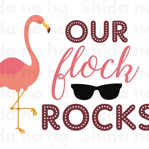 Our Flock Rocks Transfer - Etsy