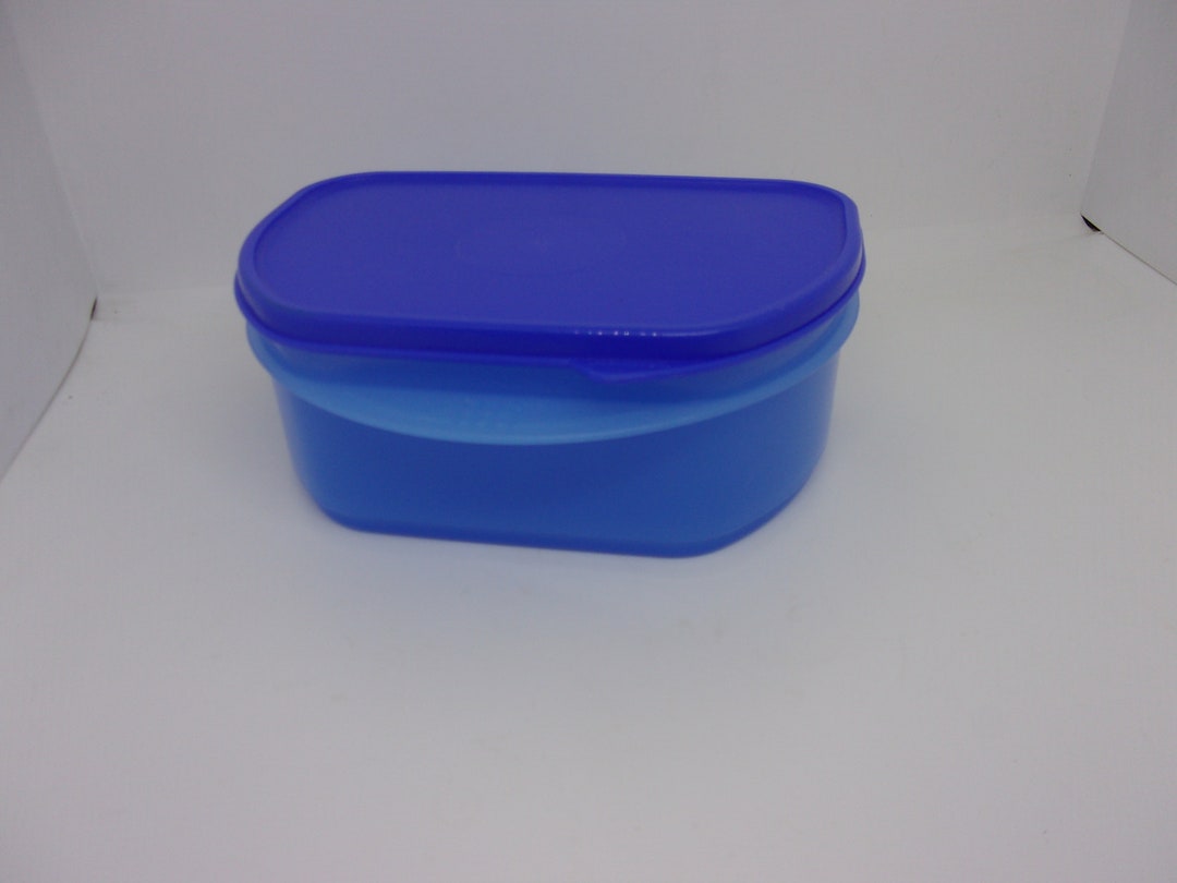 Tupperware Refrigerator Lunch Box Container With Lid Blue - Etsy