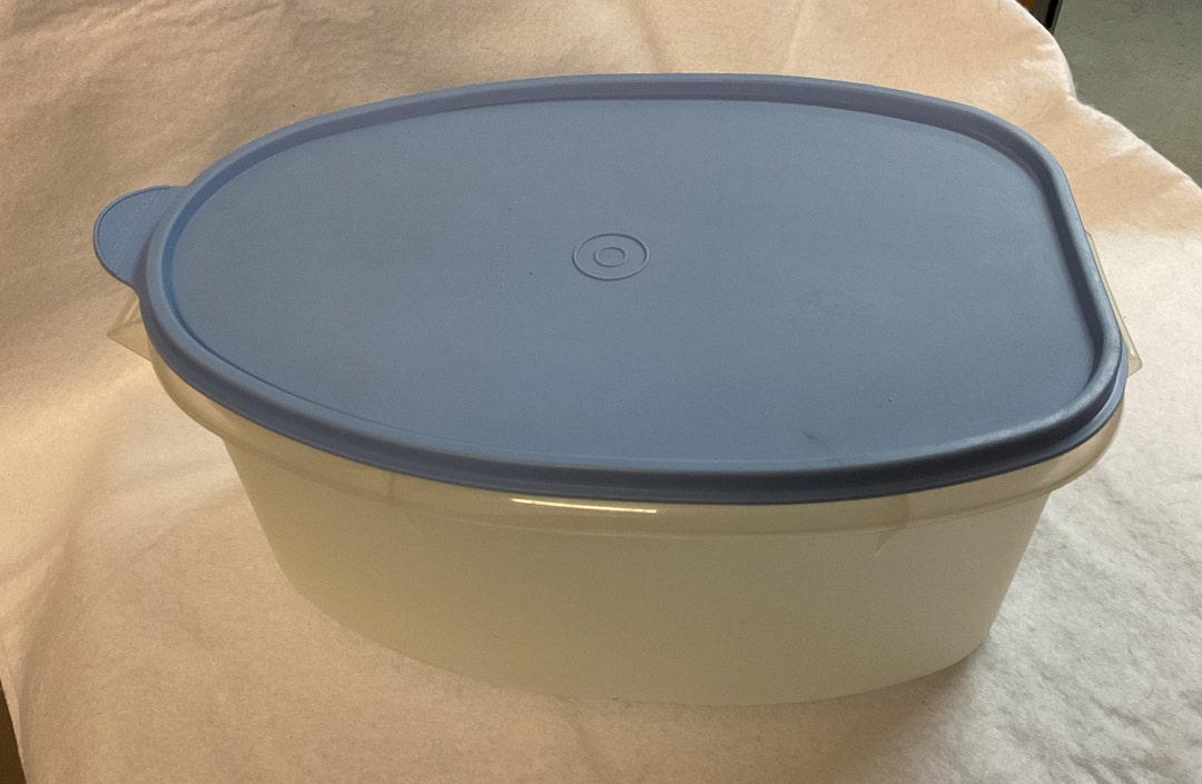 Tupperware Roast Flavor Saver - Etsy