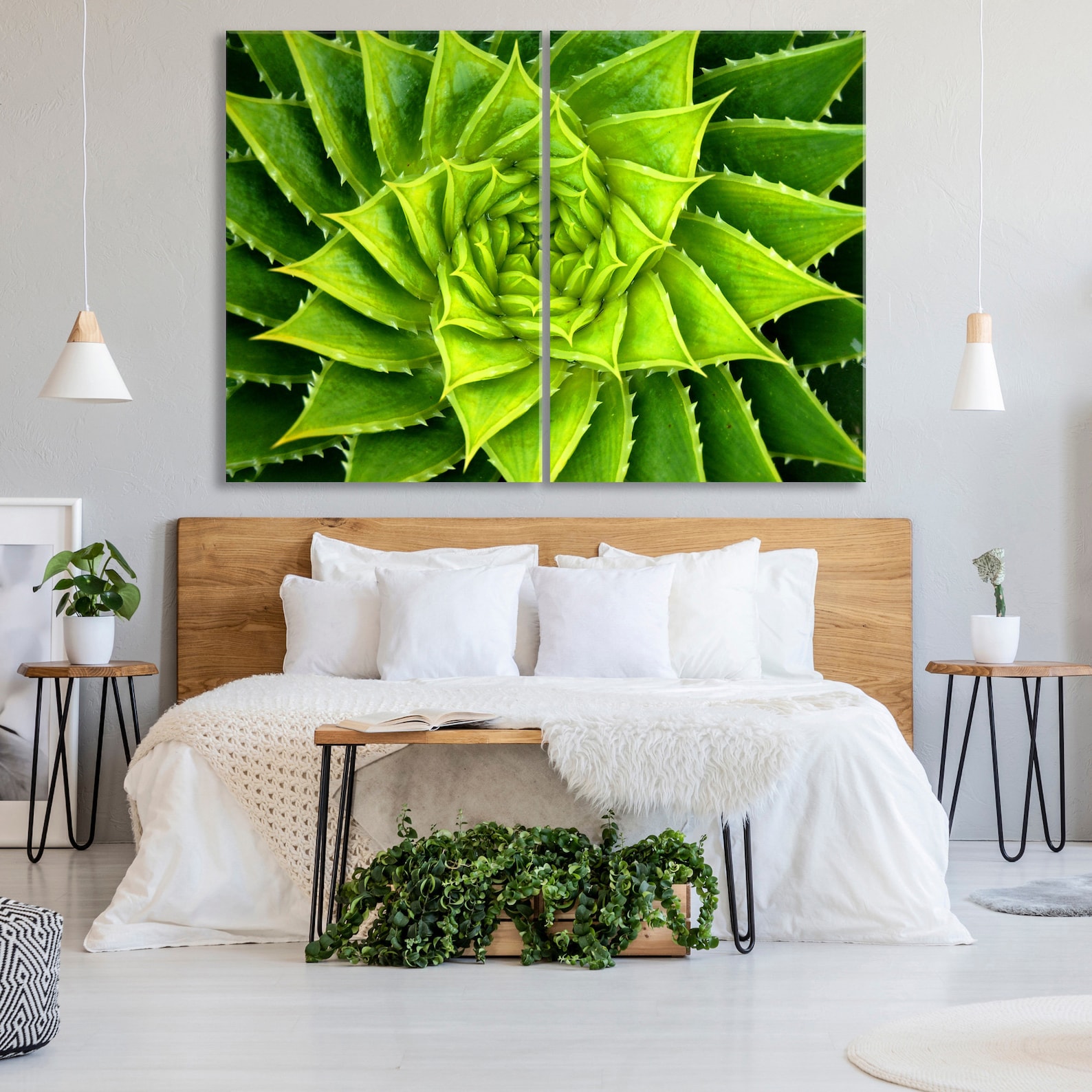 Aloe Vera Canvas Wall Decor Floral Art Print Botanical Home - Etsy