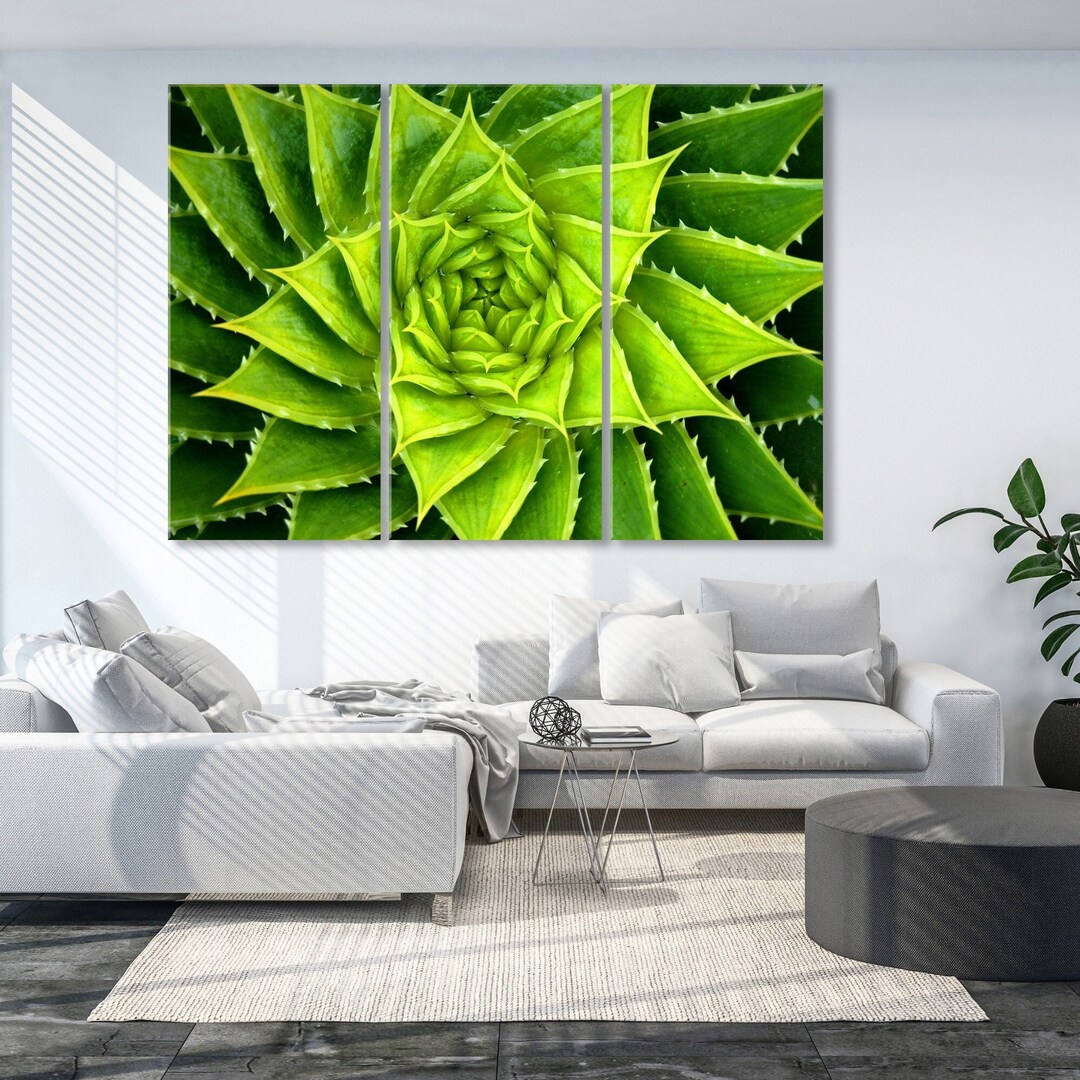 Aloe Vera Canvas Wall Decor, Floral Art Print, Botanical Home Decor ...