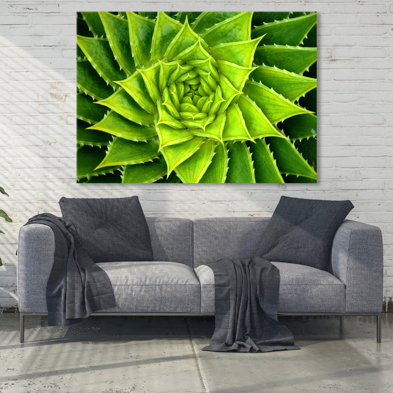 Aloe Vera Canvas Wall Decor Floral Art Print Botanical Home - Etsy