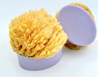 Coffee | Sea Sponge Soap | Natural Sea Sponge | Essential Oils ...