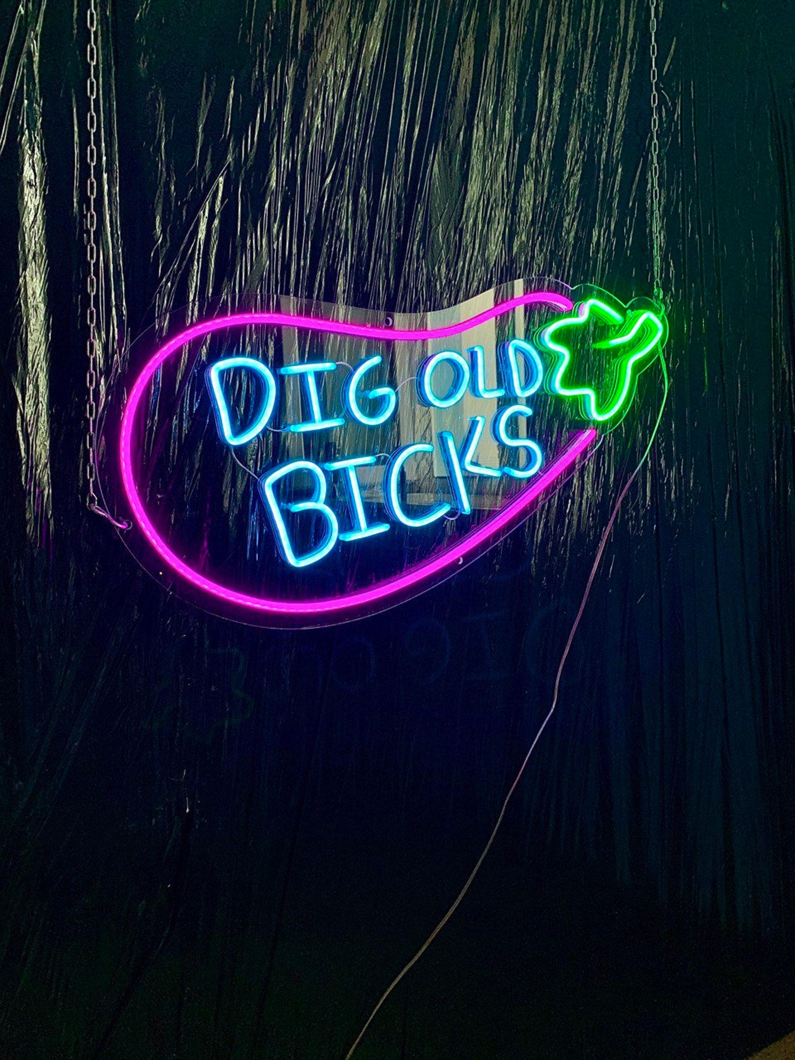 Neon Sign Dig Old Bicks Neon Light, Dig Old Bicks Led Sign Custom Neon ...