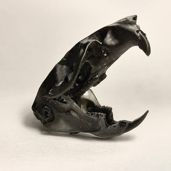 Rat Skull - Etsy