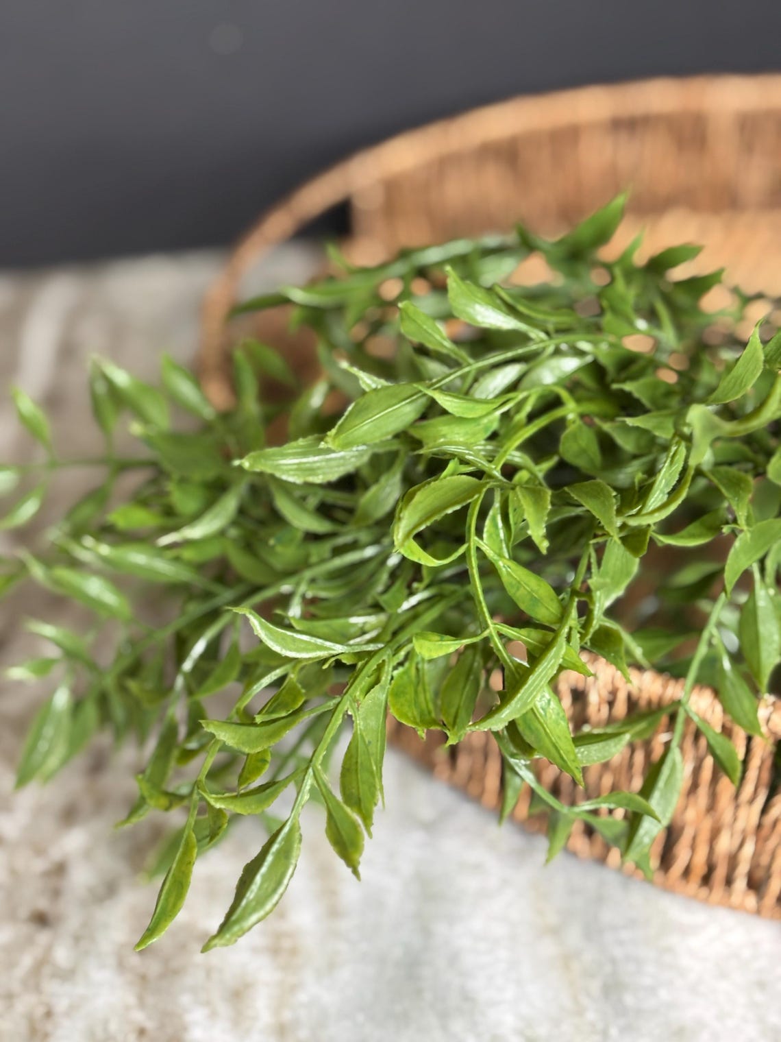 Italian Ruscus Greenery Bush, Real Touch Greenery, Wreath Greenery, 16 ...