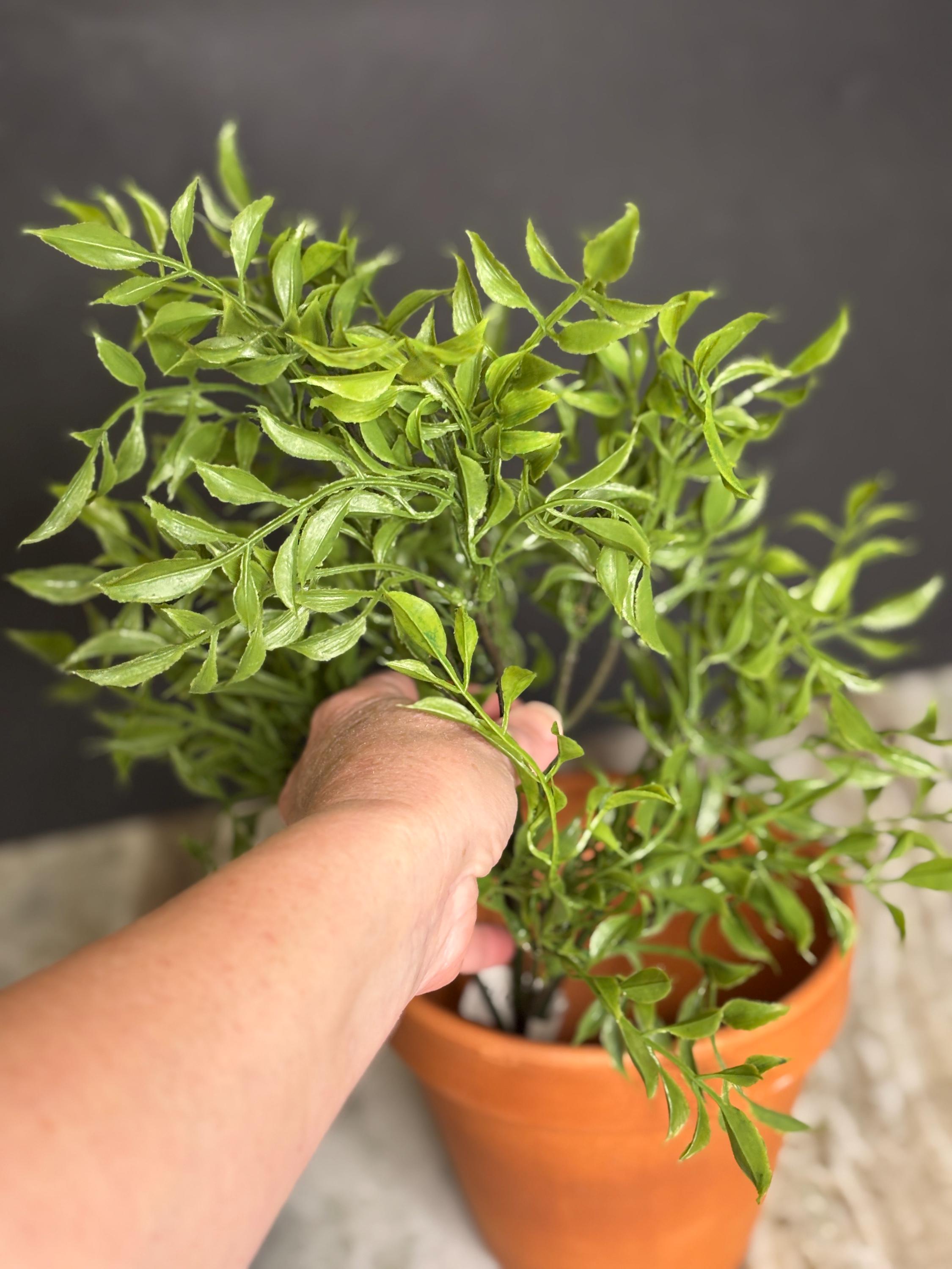 Italian Ruscus Greenery Bush, Real Touch Greenery, Wreath Greenery, 16 ...