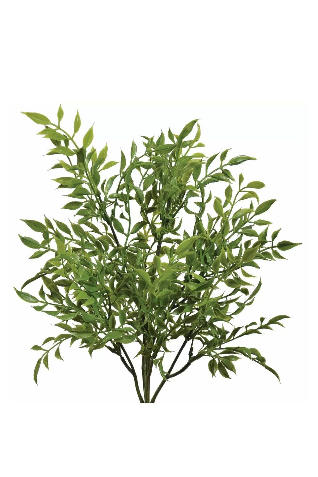 Italian Ruscus Greenery Bush, Real Touch Greenery, Wreath Greenery, 16 ...