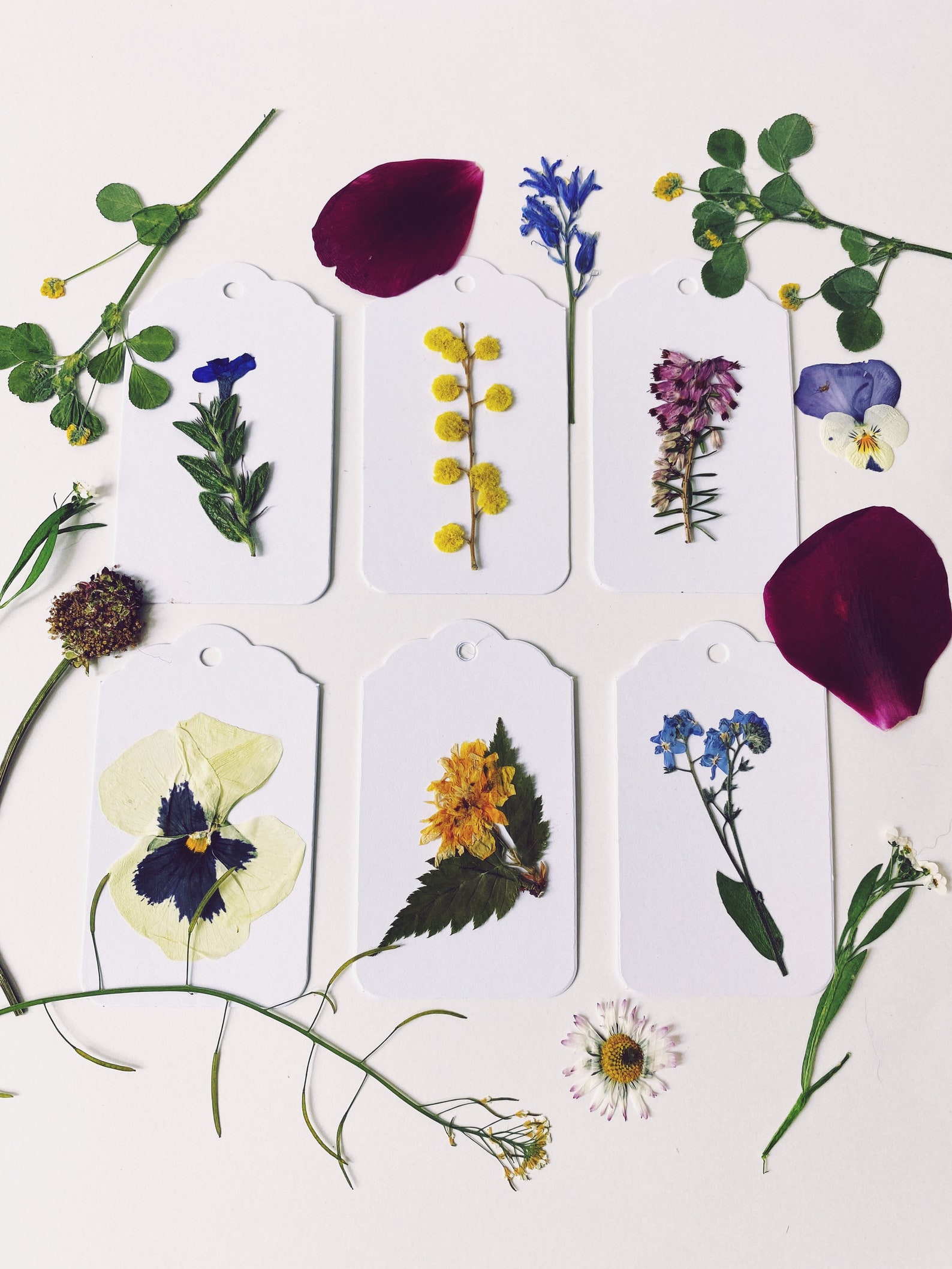 Pressed Flower Gift Tags, Wedding Favour, Botanical Stationary, Pack of ...