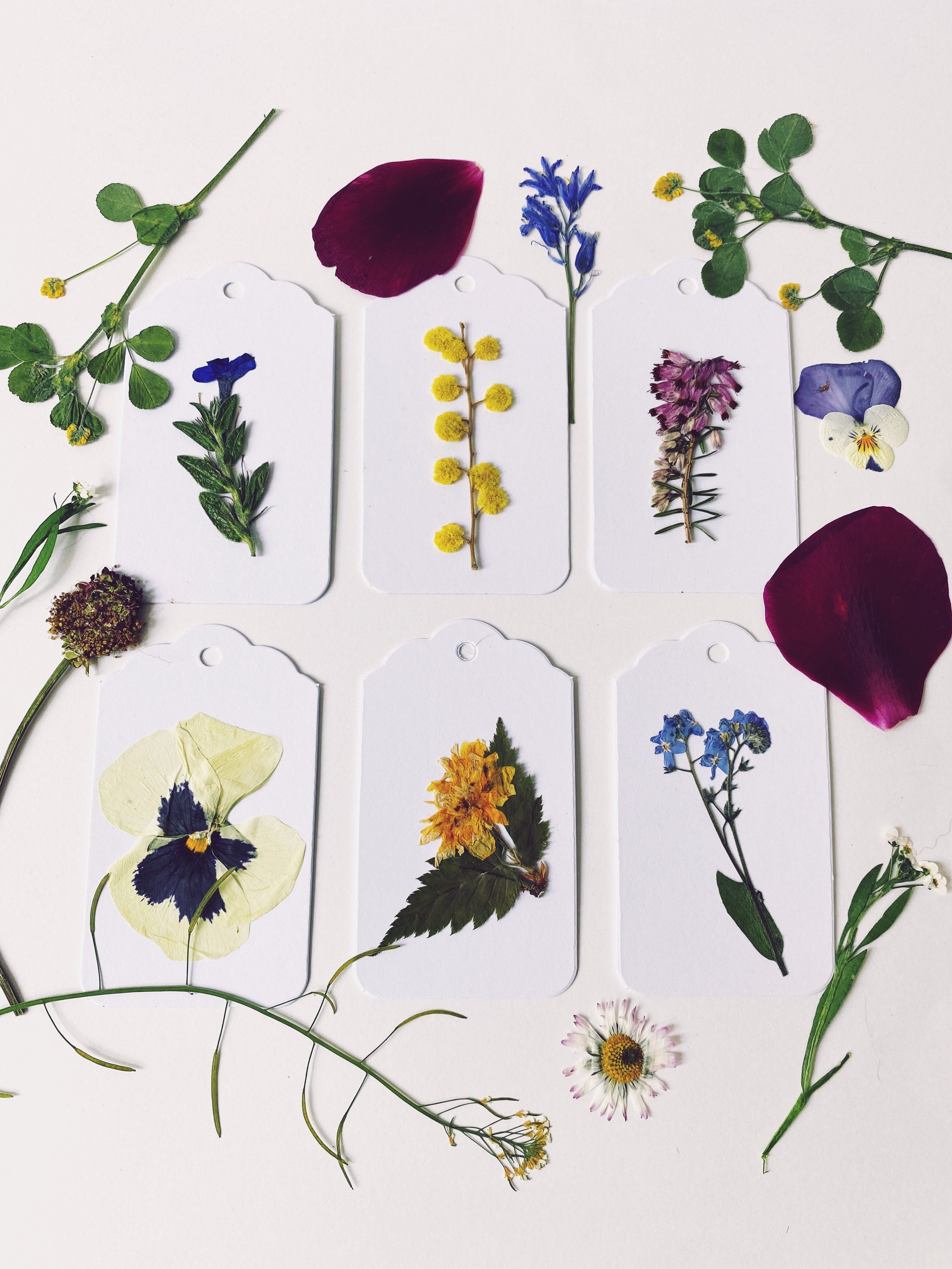 Pressed Flower Gift Tags, Wedding Favour, Botanical Stationary, Pack of ...