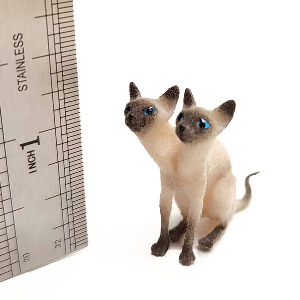 Two Headed Cat - Etsy