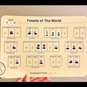 Fossil Sticker Sheet Museum Collection Pack | Game Completion Progress ...