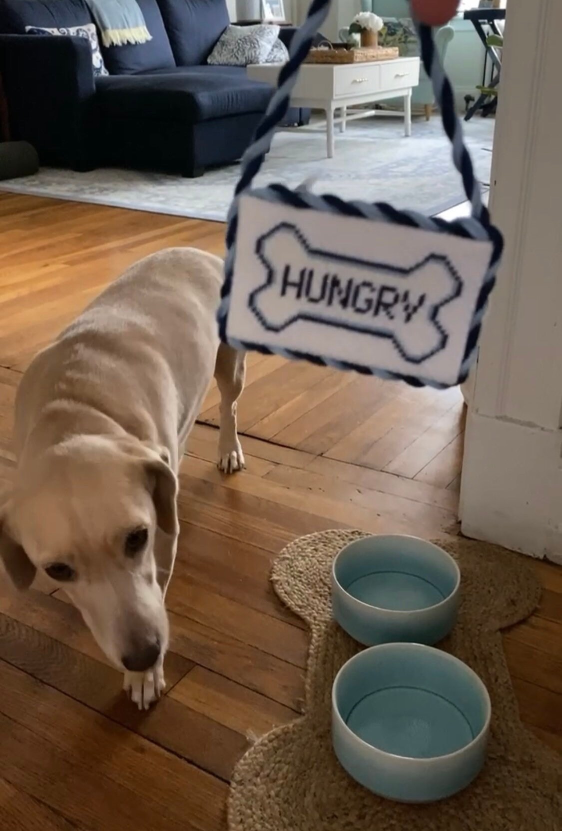 Pet Hungry & Happy Sign - Etsy