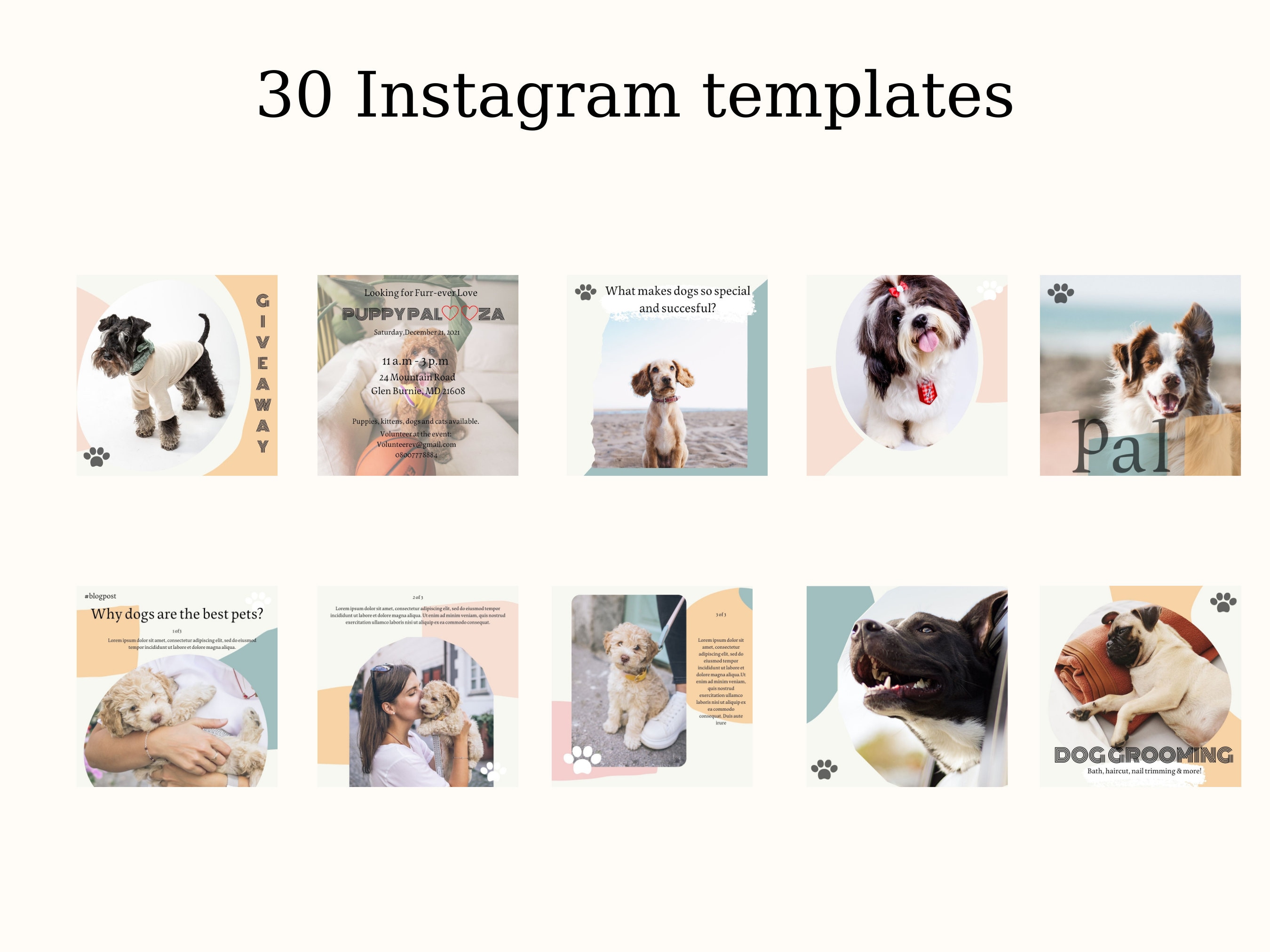 30 PETS POST TEMPLATE for Instagram, Social Media Posts for Dog and Pet ...