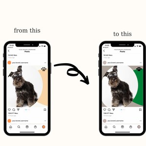 30 PETS POST TEMPLATE for Instagram, Social Media Posts for Dog and Pet ...