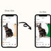 30 PETS POST TEMPLATE for Instagram, Social Media Posts for Dog and Pet ...