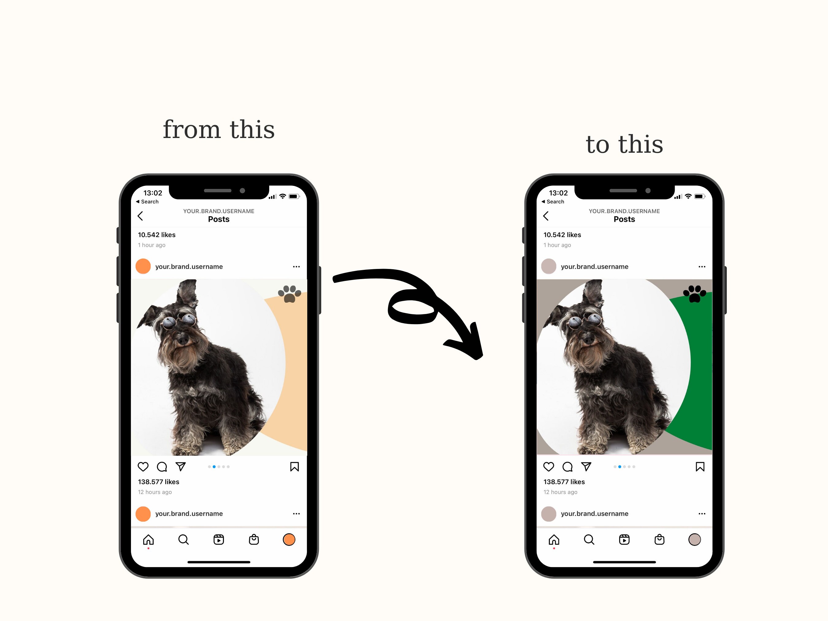 30 PETS POST TEMPLATE for Instagram, Social Media Posts for Dog and Pet ...