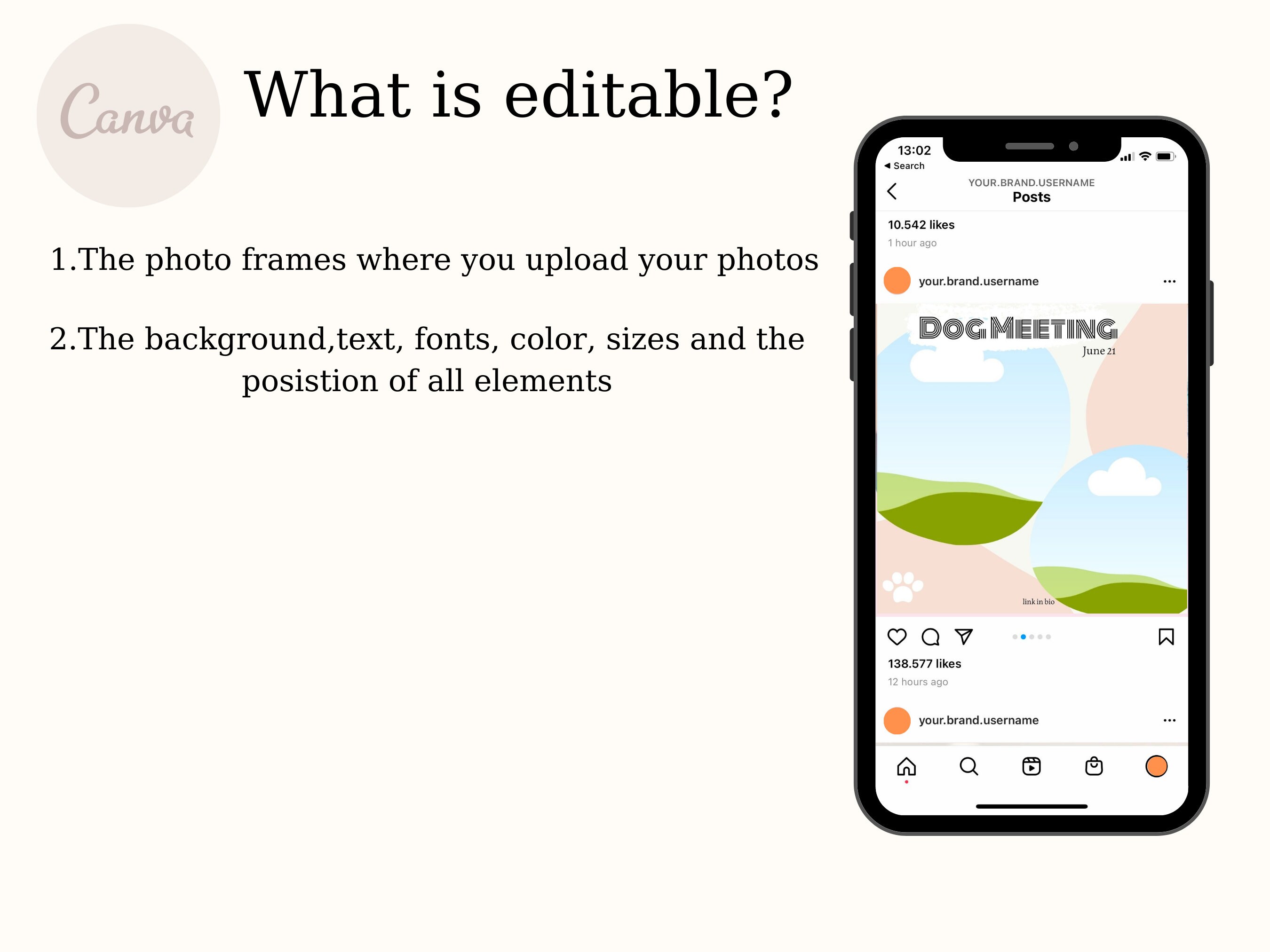 30 PETS POST TEMPLATE for Instagram, Social Media Posts for Dog and Pet ...